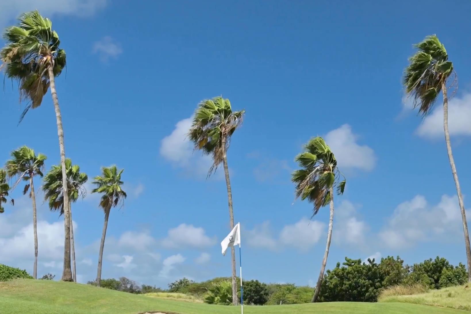 Blue Bay Golf & Beach Resort | Buchen Sie einen Golftermin| SWINGWORKS